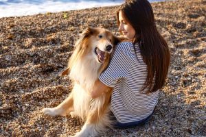 The World's Most Affectionate Dog Breeds | Pet Friendly House