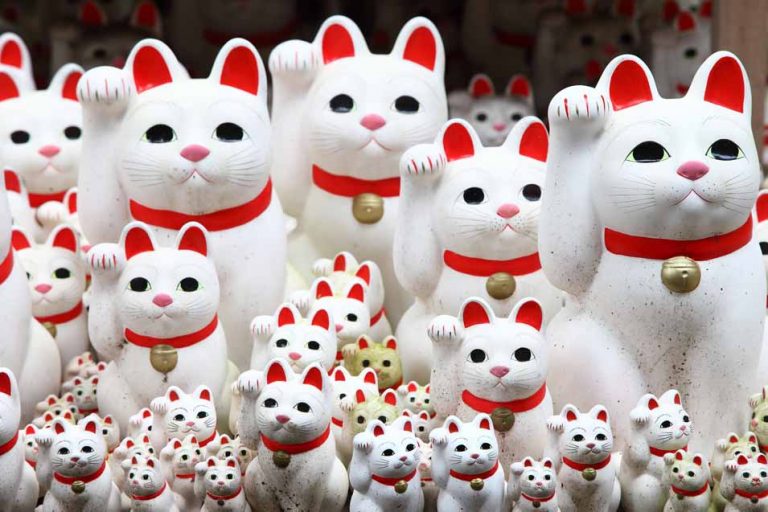 5 Interesting Facts About Maneki Neko | Fortune Cats or Lucky Cats