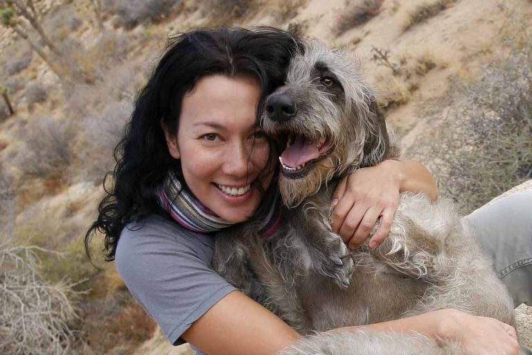 The World's Most Affectionate Dog Breeds | Pet Friendly House